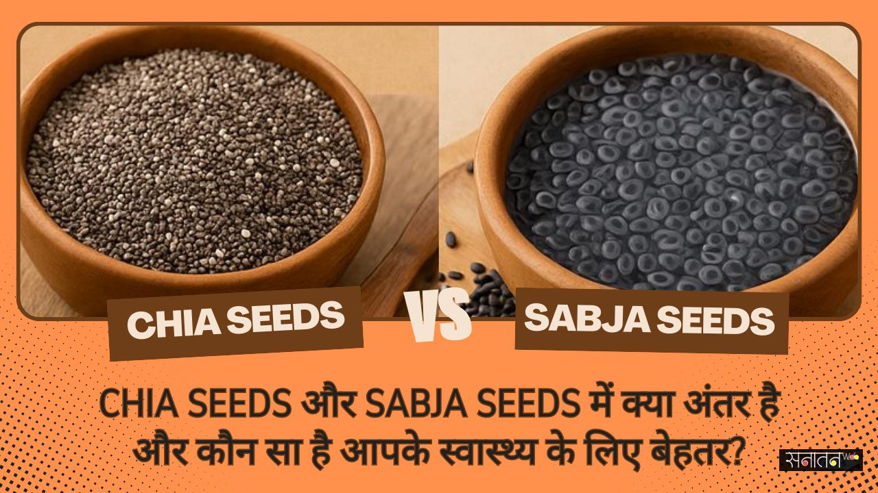 Chia Seeds और Sabja Seeds में क्या अंतर है और कौन सा है आपके स्वास्थ्य ...